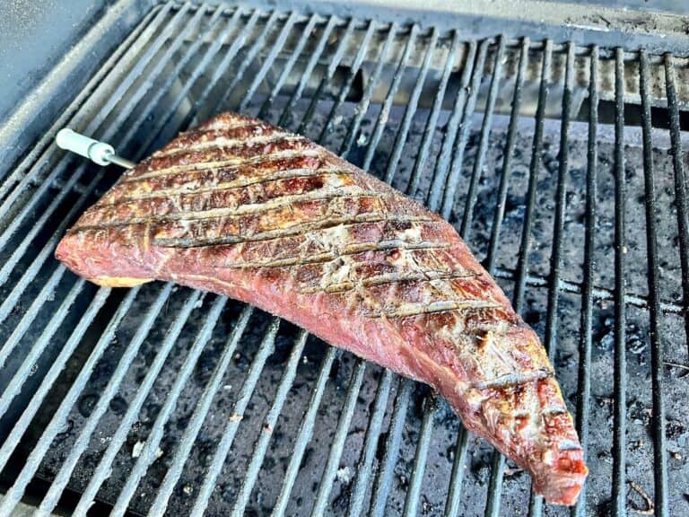 The Best Traeger Smoked Tri Tip Recipe • Fancy Apron